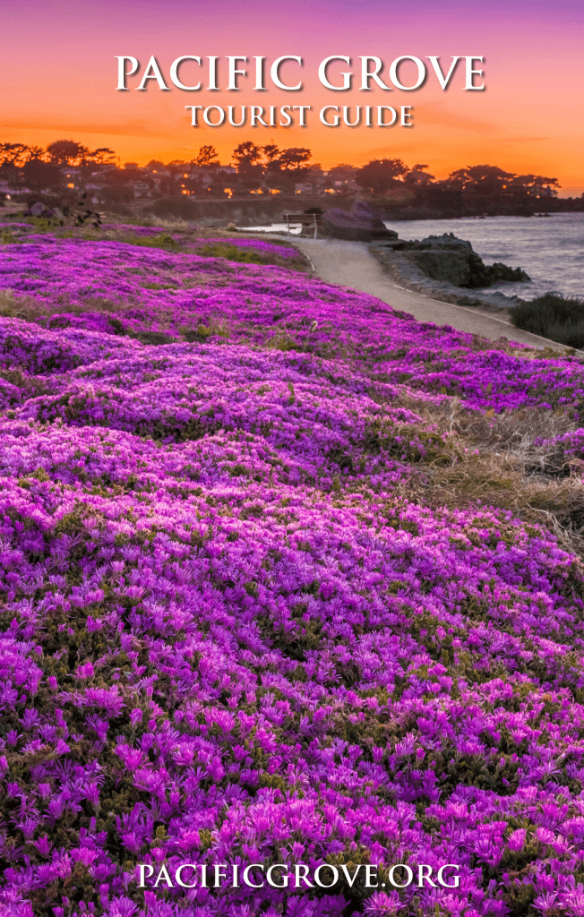 Pacific Grove Chamber of Commerce Tourist Guide - Moore Design Graphics